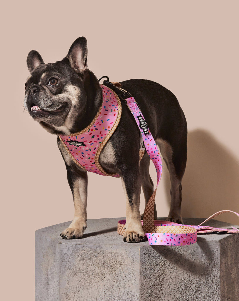 Sprinkle Me Pink Reversible Harness – RUFFHAUS NYC